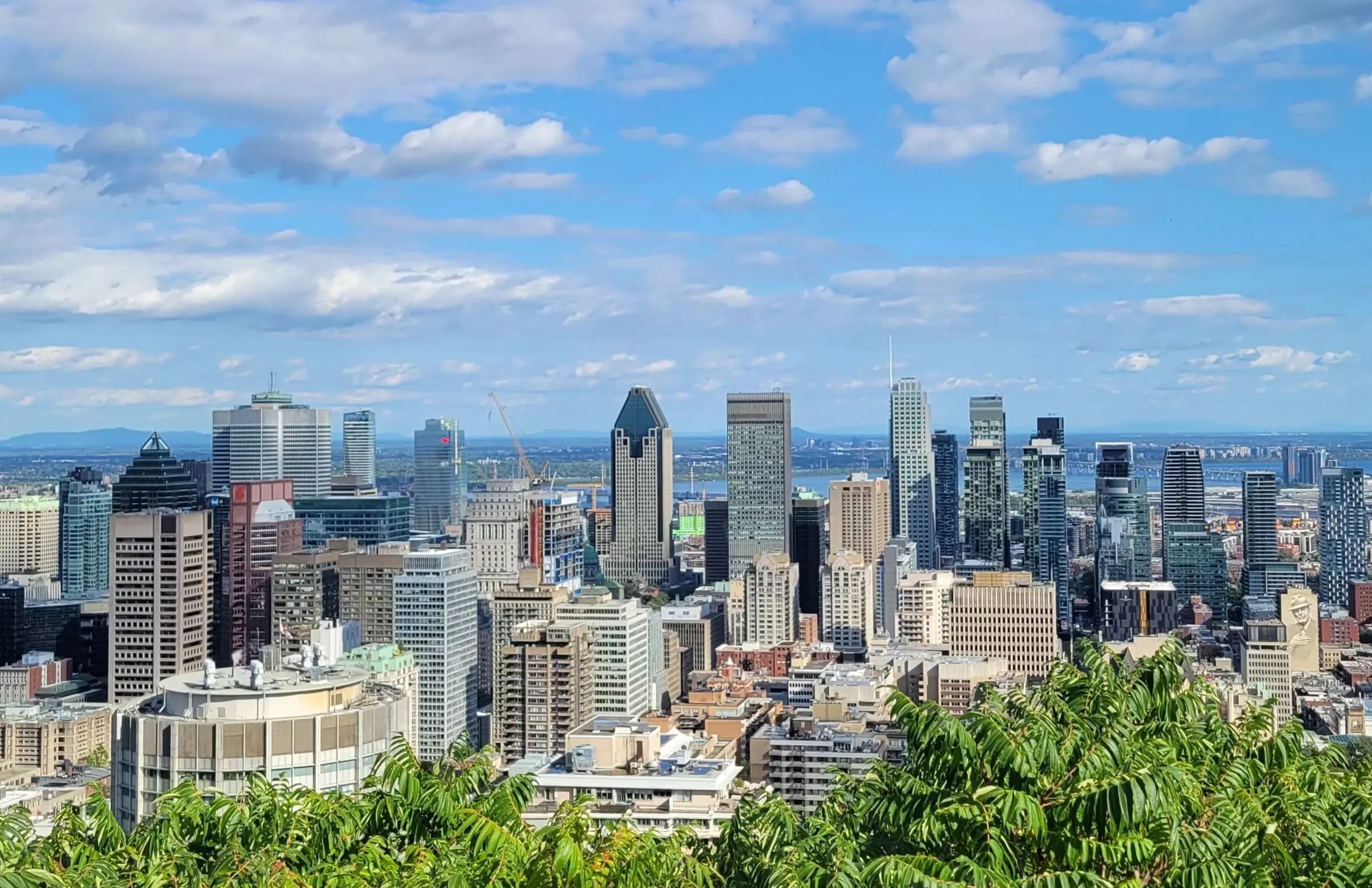Montreal - JDM Web Technologies